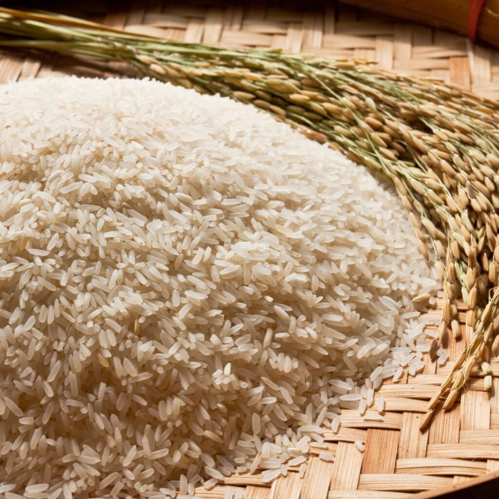 YAJ EXIM ( Rice ) - Samriddh Vyapar