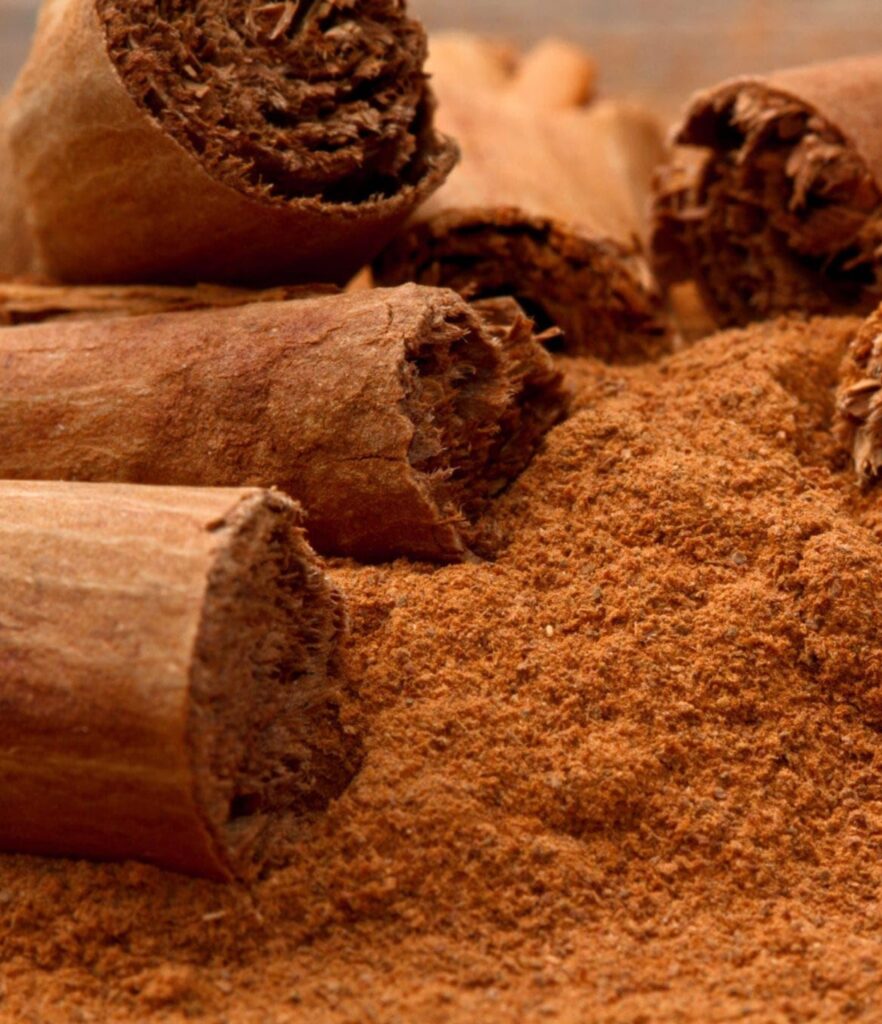 NUMEN GLOBAL ( Cinnamon ) - Samriddh Vyapar